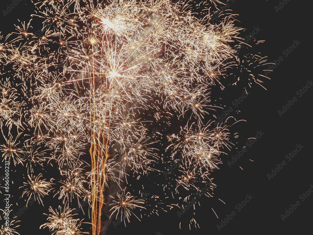 Sparkly Firework Stock Photo | Adobe Stock