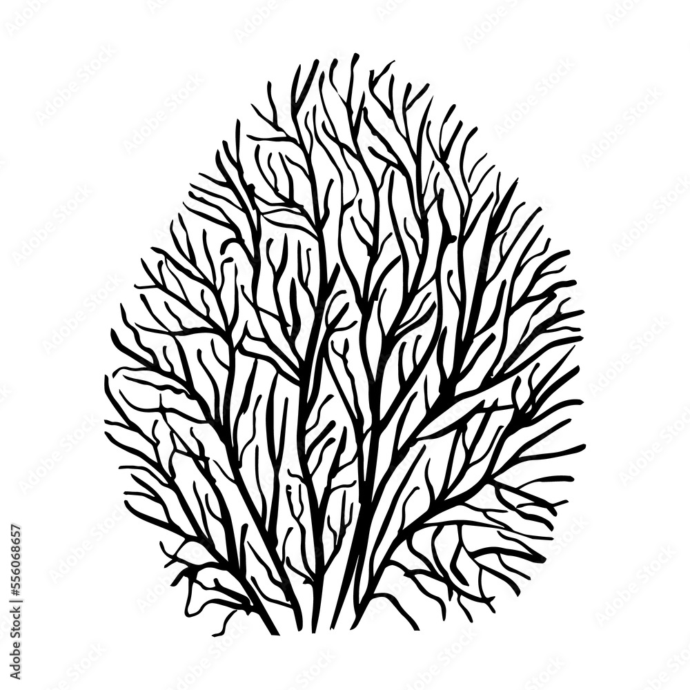 Tree, bush, branches outline. Hand drawing. For printing, for your ...