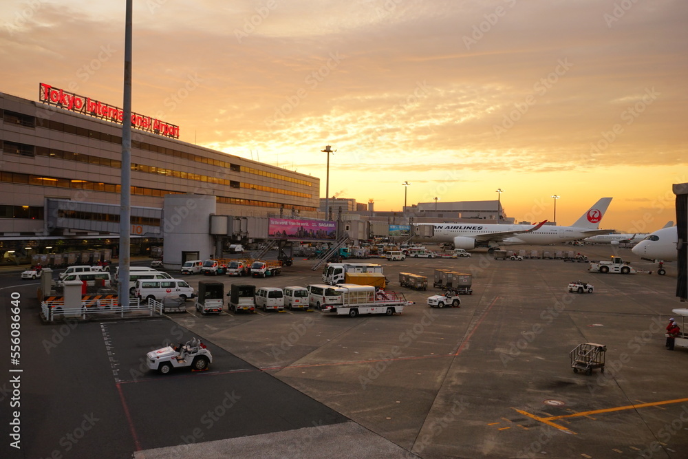 JAL Aircraft at Haneda Airport Terminal - 羽田空港 ターミナル JAL 飛行機 Stock ...