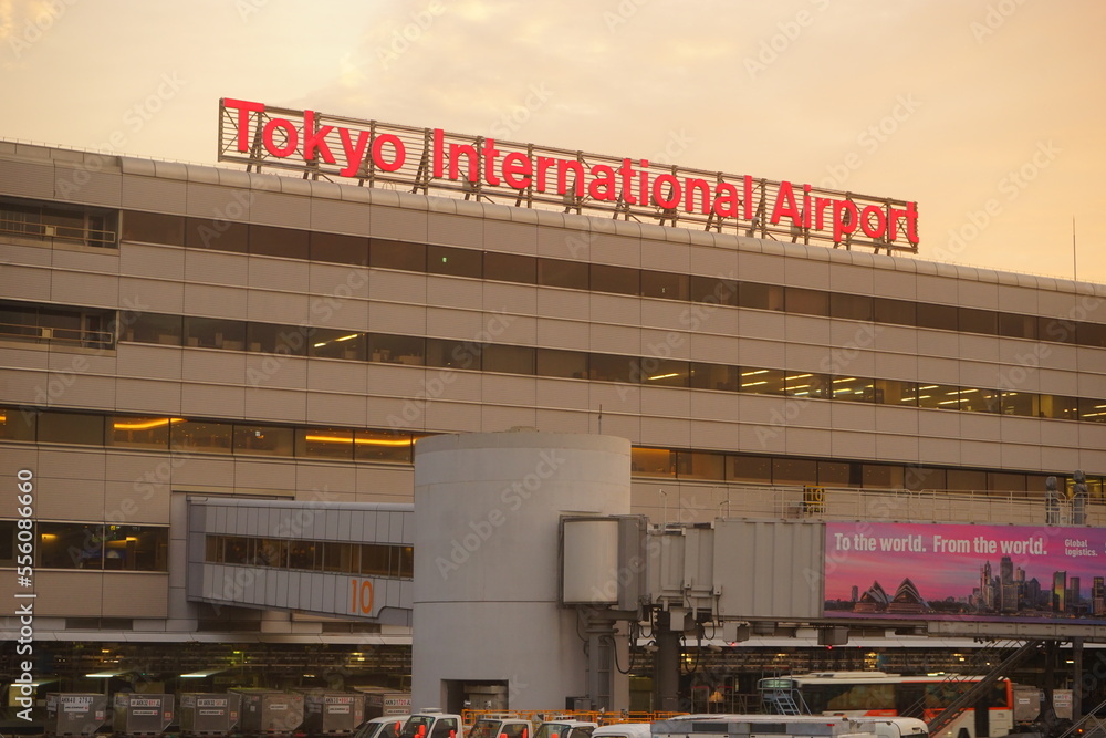 JAL Aircraft at Haneda Airport Terminal - 羽田空港 ターミナル JAL 飛行機 foto de ...