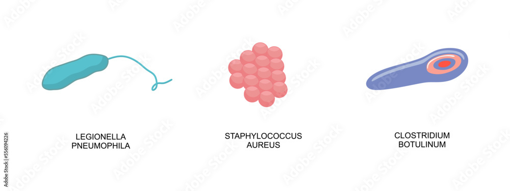 Set of bacteria icon. Legionella pneumophila, Staphylococcus aureus ...