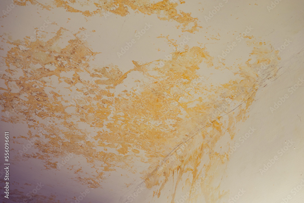 Flooding rainwater, causing damage, peeling paint and mildew. Stock ...