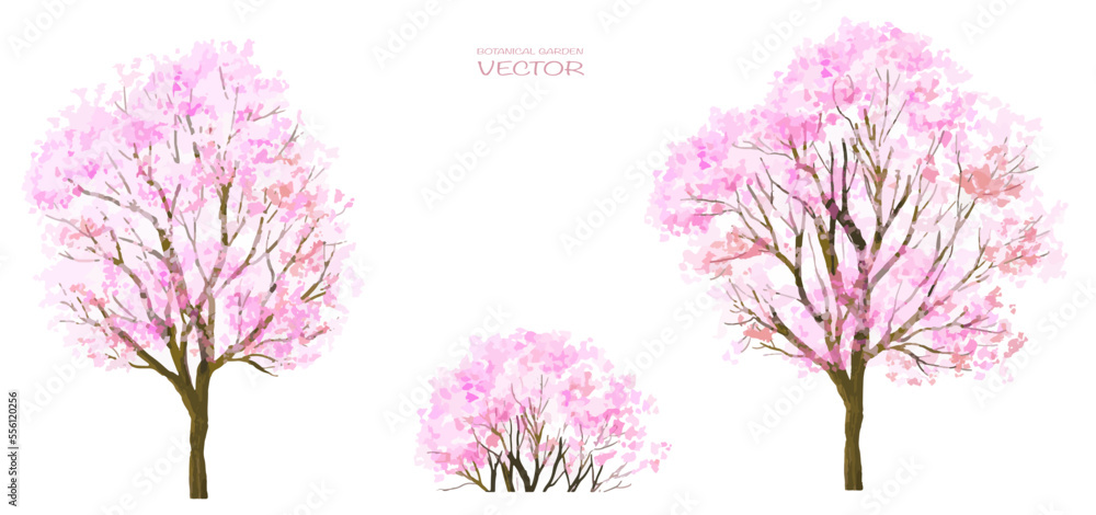 Vector watercolor blooming flower tree side view isolated on white ...