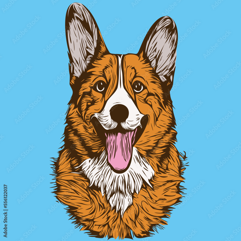 Pembroke welsh corgi hand drawn cartoon colorful picture line art ...
