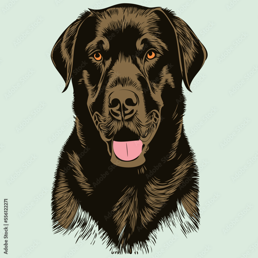 rottweiler hand drawn cartoon picture line art vector drawing Stock ...