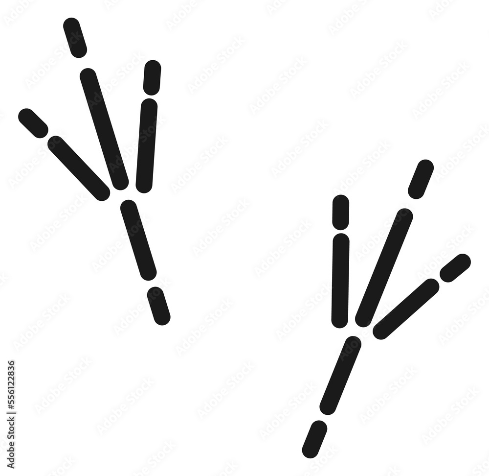 Bird footprint. Crow feet black track mark Stock Illustration | Adobe Stock