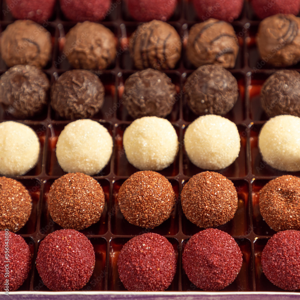 Colorful chocolate truffles with cocoa powder Stock Photo | Adobe Stock