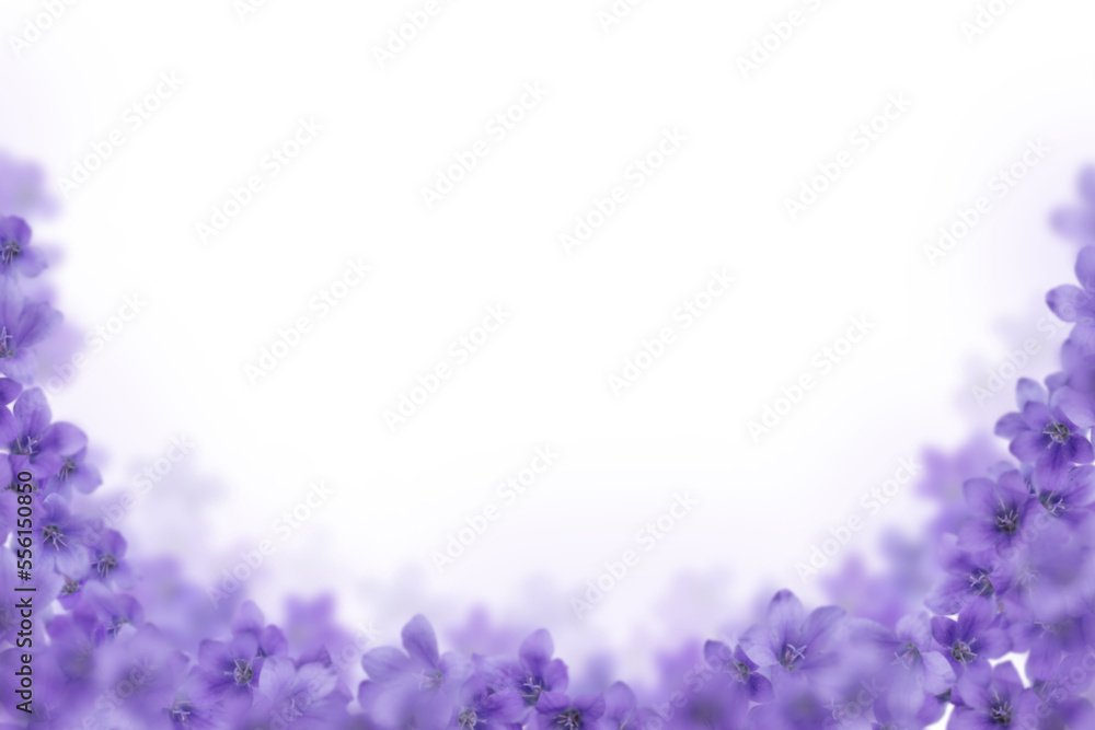 Blue flowers background frame Stock Photo | Adobe Stock