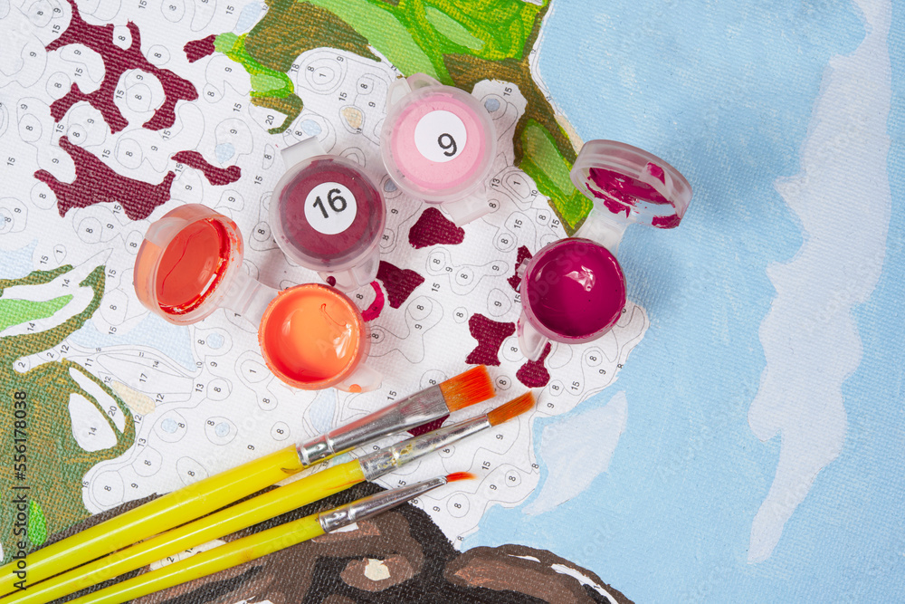 Painting by numbers. Set to paint the picture, includes a canvas ...