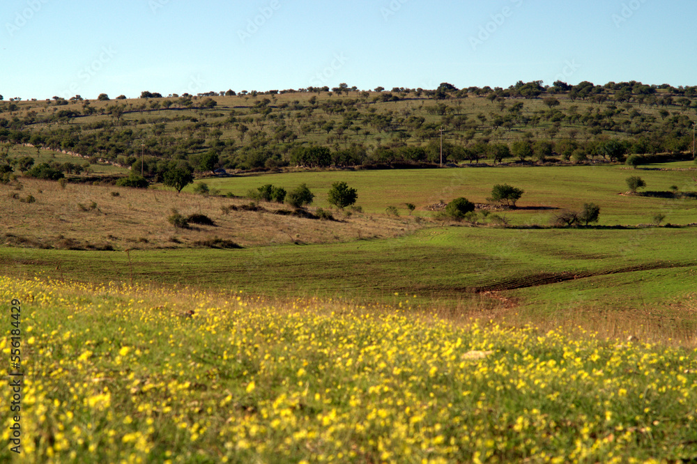 Le Murge pugliesi, veduta territoriale delle campagne del sud Italia ...