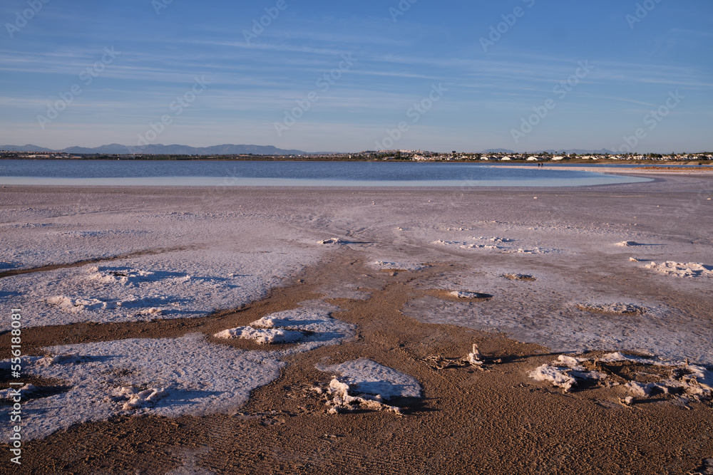 Pink Salt Lake and a lump of salt in the water. Torrevieja, Spain Stock ...