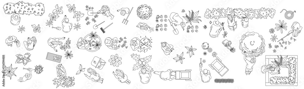 Architectural top view people plant gardening perfect for landscape ...