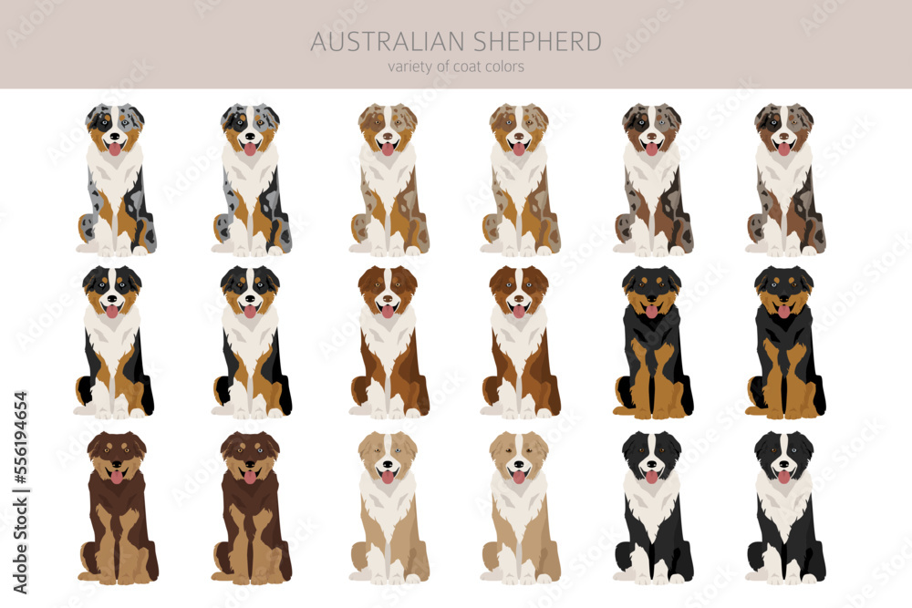 Australian shepherd clipart. Coat colors Aussie set. All dog breeds ...