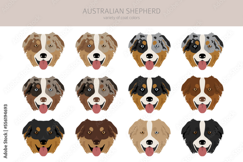 Australian shepherd clipart. Coat colors Aussie set. All dog breeds ...