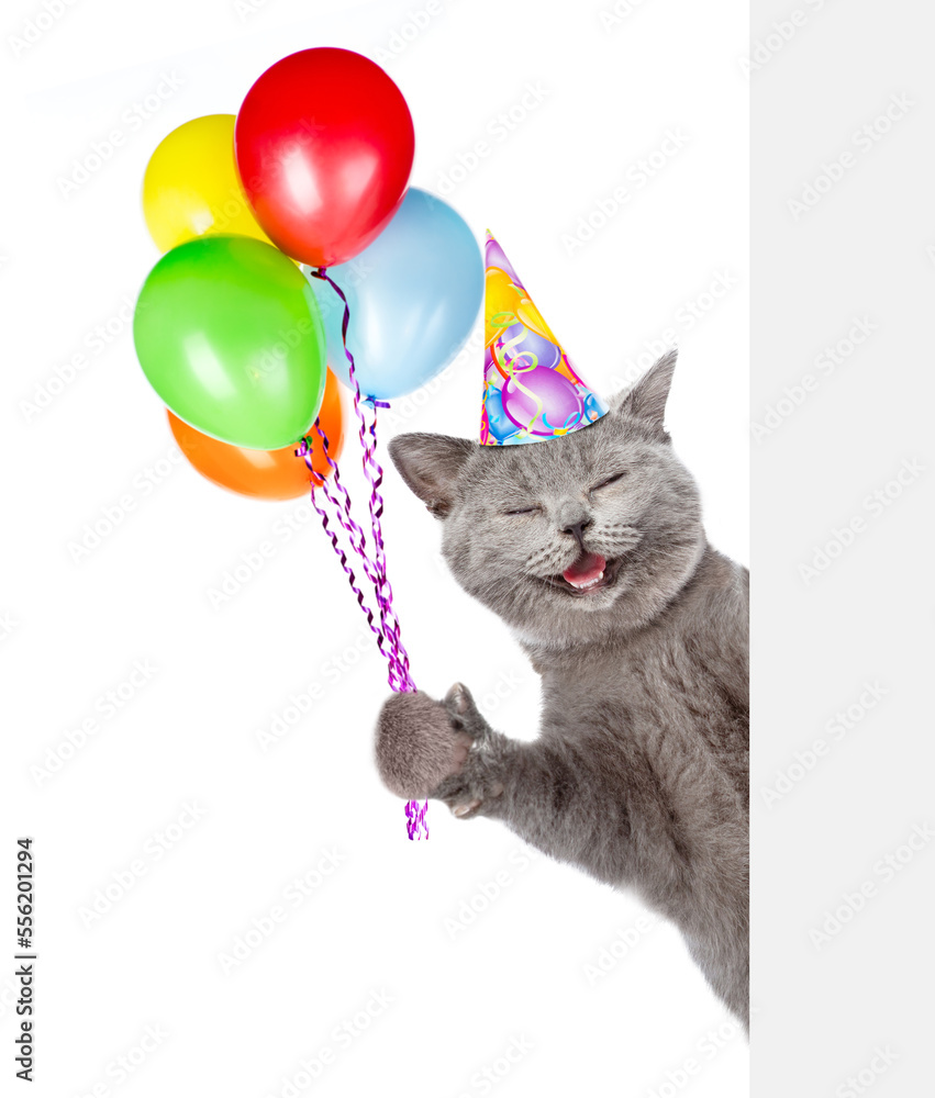 Happy cat wearing party cap holds balloons above empty white banner ...