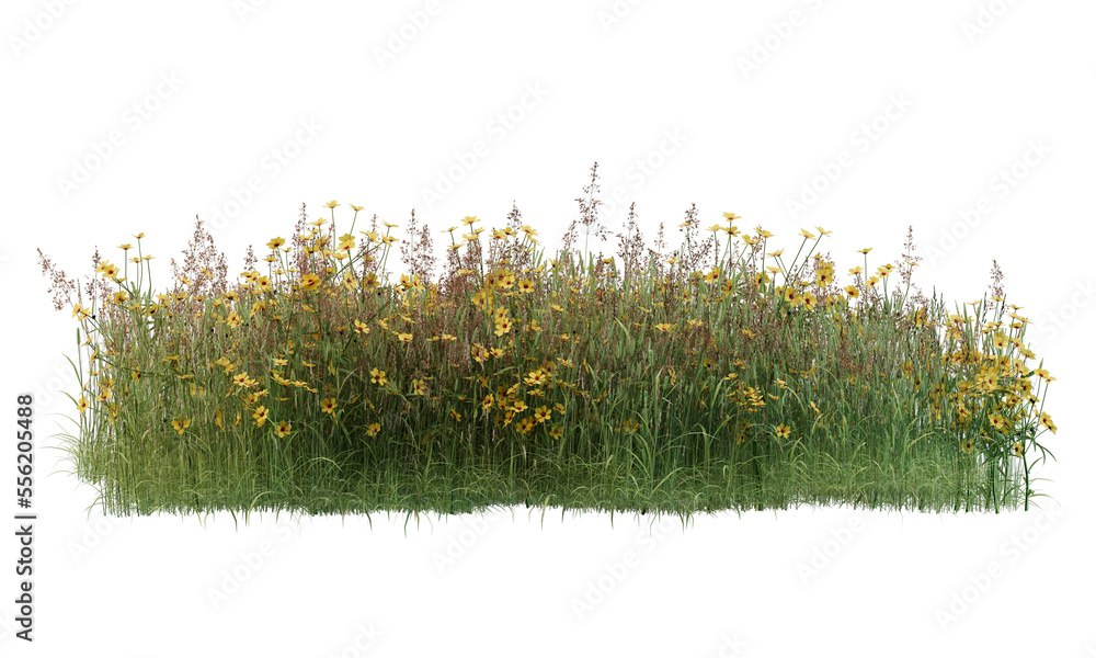 Various types of flowers grass bushes shrub and small plants isolated ...