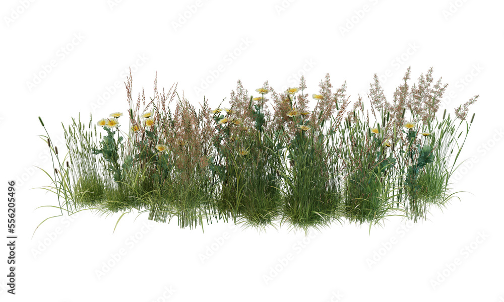 Various types of flowers grass bushes shrub and small plants isolated ...