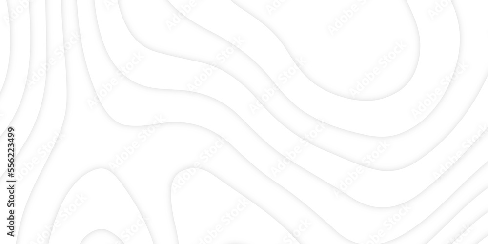 Abstract wavy line 3d paper cut white background. Topographic canyon ...
