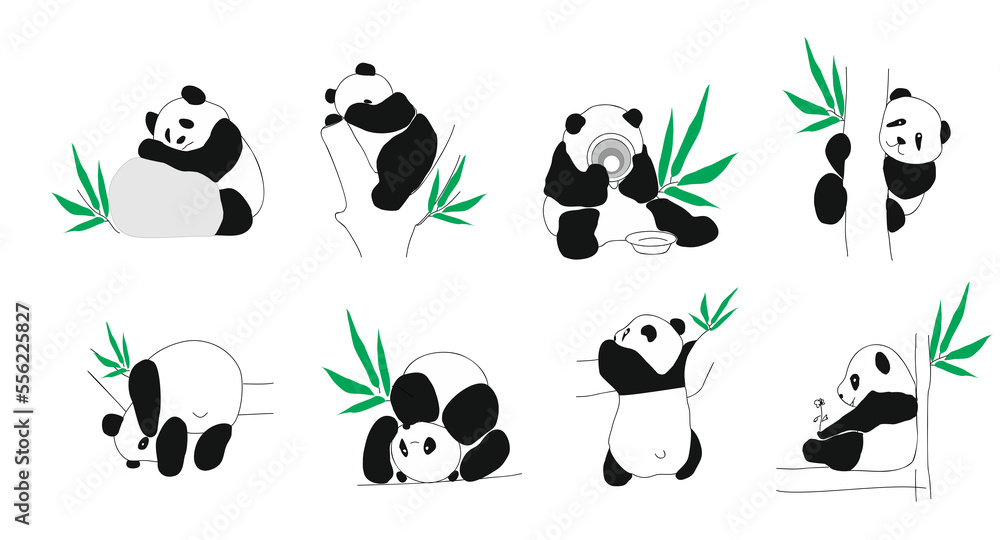 Set of little cute baby pandas in different poses - sitting, lying ...