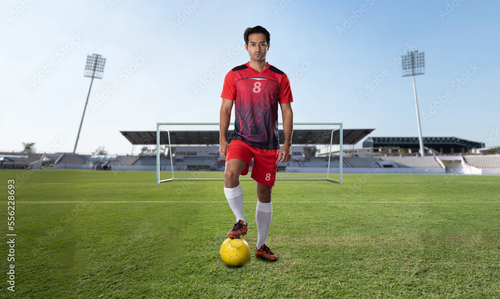 Soccer player on Soccer field, Football field on the stadium Stock ...