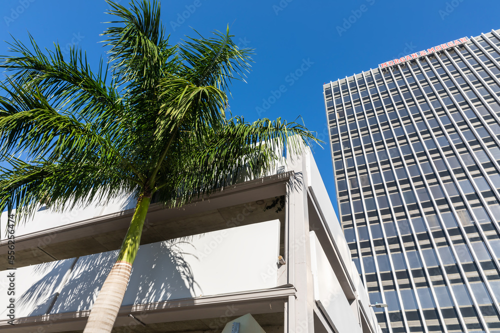 Morgan and Morgan building in St. Petersburg, Florida. Stock Photo ...