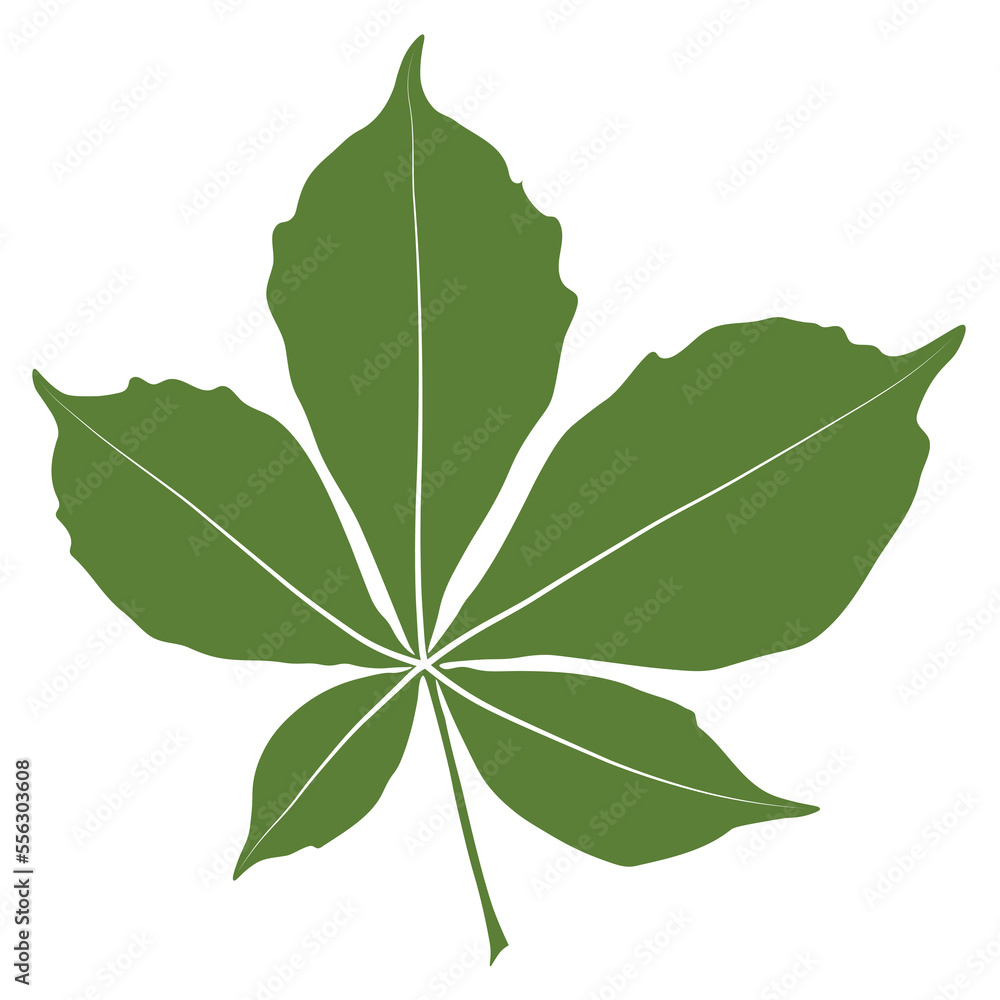 Vector chestnut leaf silhouette icon. Simple chestnut leaf illustration ...