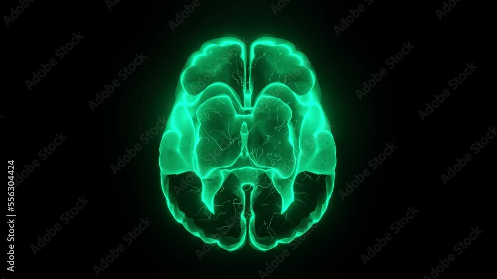 Green digital brain scan futuristic. animation light glow. 4k resolution Stock Video | Adobe Stock