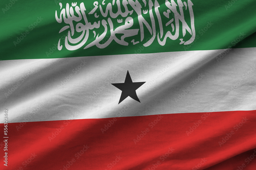 Somaliland flag with big folds waving close up under the studio light ...
