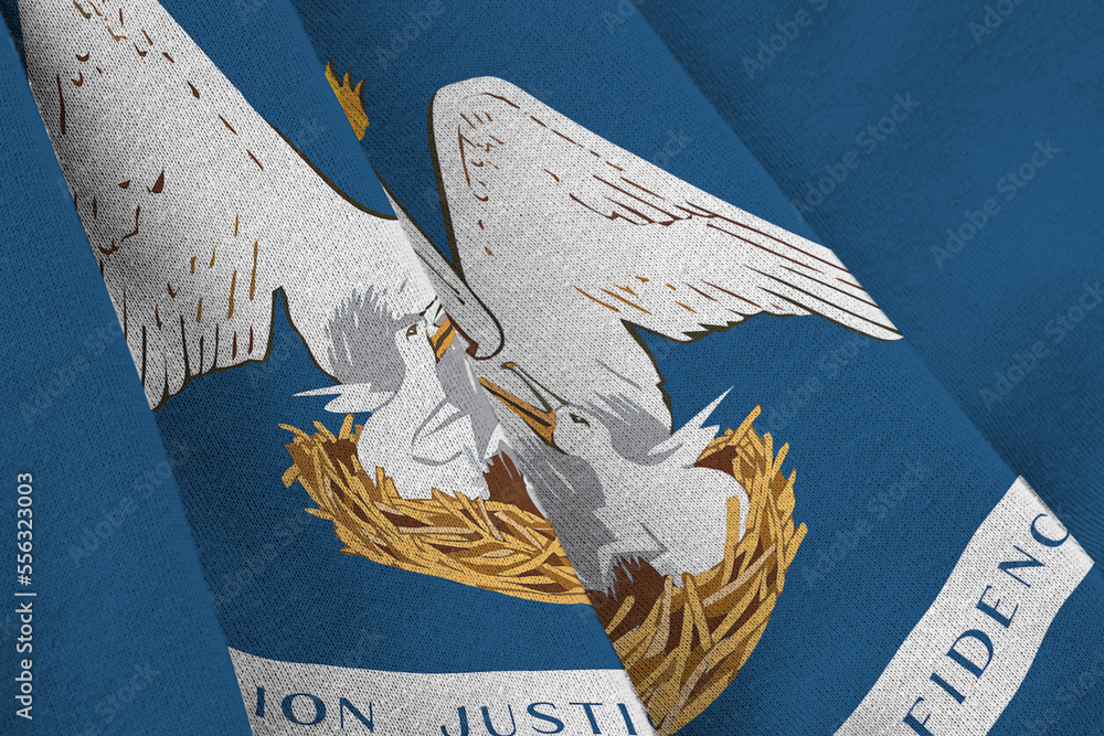 Official Louisiana Flag