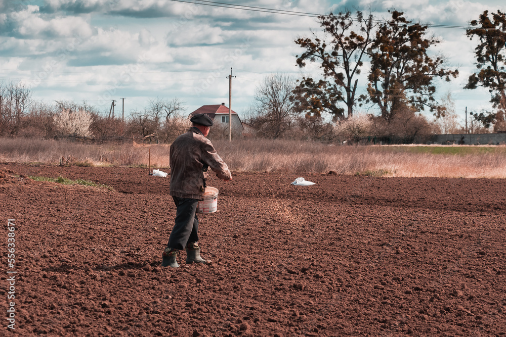 Old farmer seeds the field in the early spring. Eco farm. Vintage ...