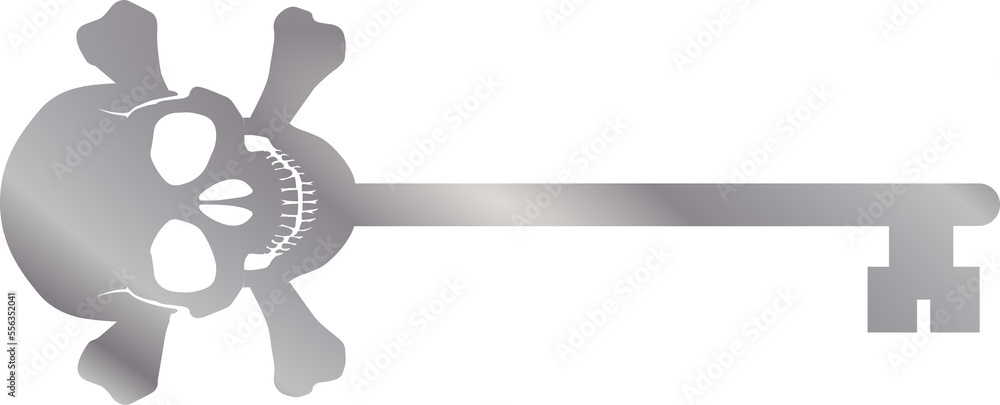 old key shaped like a skull and crossbones Stock Illustration | Adobe Stock