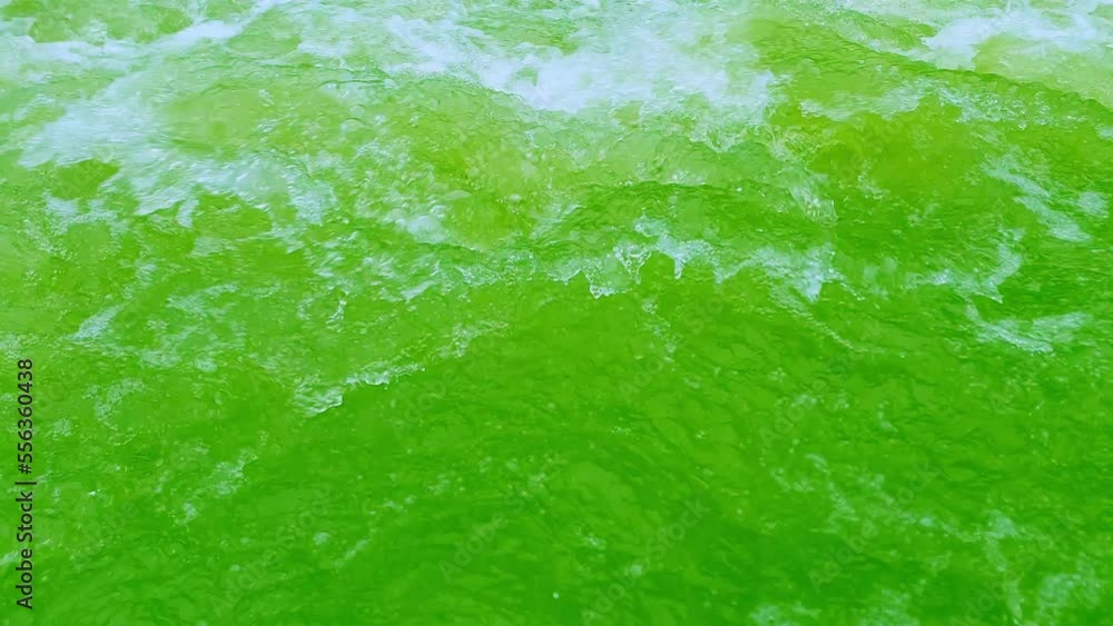 Defocus blurred transparent green colored clear calm water surface ...