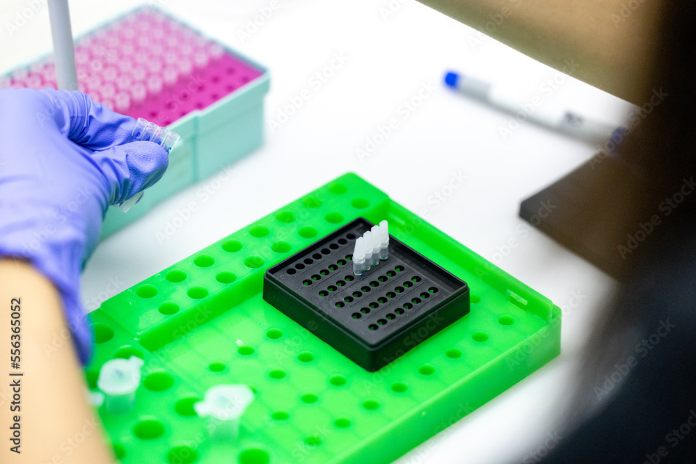 glove, cycler, lab, research, dna, segment, thermal, test, equipment ...