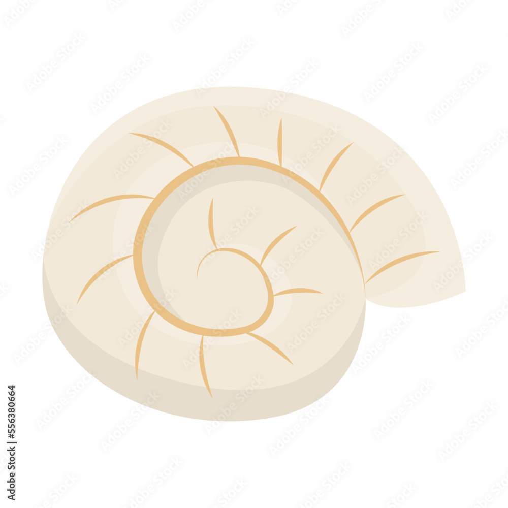 Comic washing sea shell nautilus vector illustration. Cartoon isolated ...