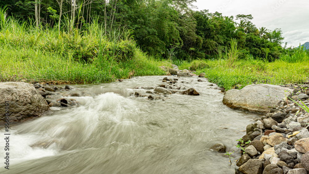 river flow after the rain in the tropical rainforest Stock Photo ...