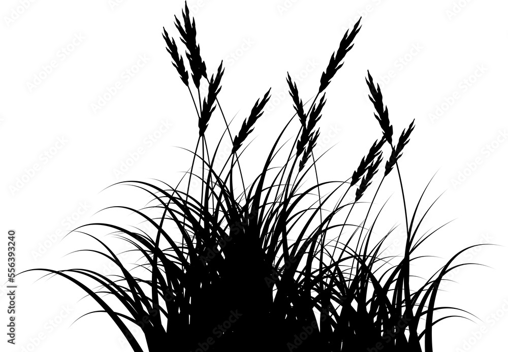 reeds grass silhouette Stock Illustration | Adobe Stock reeds grass silhouette Stock Illustration | Adobe Stock