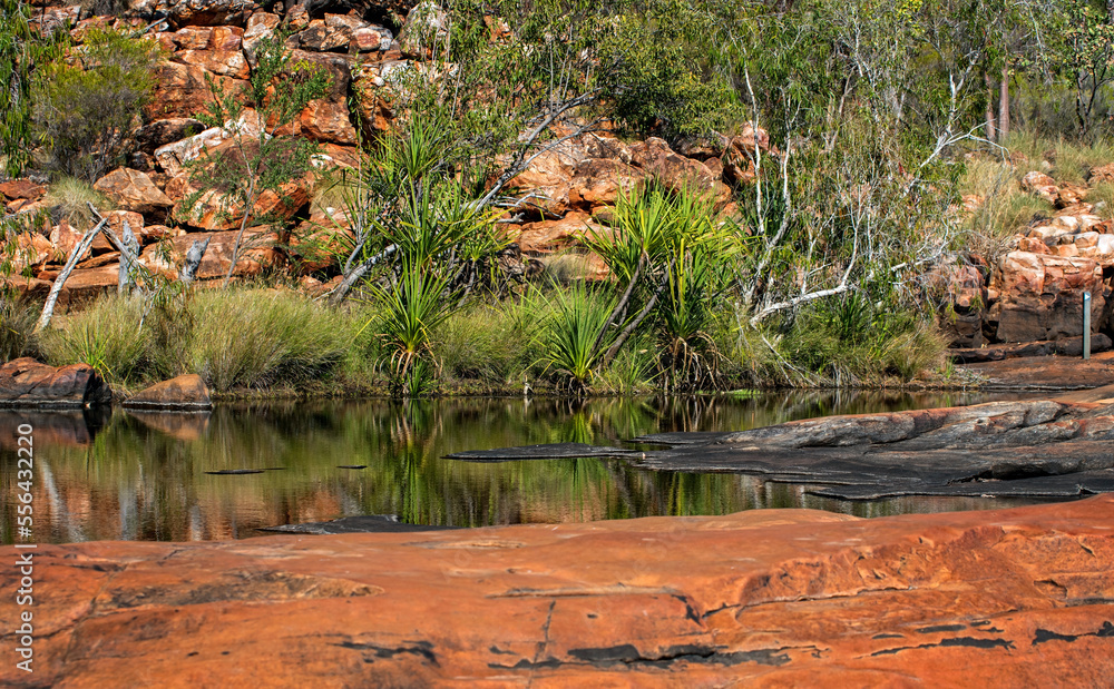 Nature photographer on a hiking trip at the Australian outback at bell ...