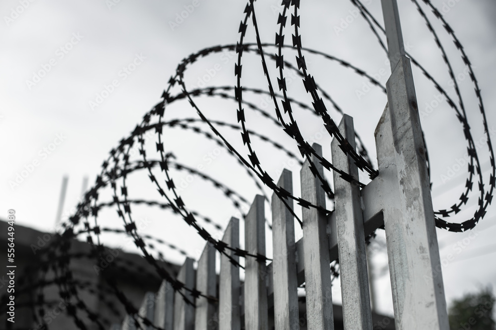fence with metal barb construction on blue sky background. Barb Wire ...