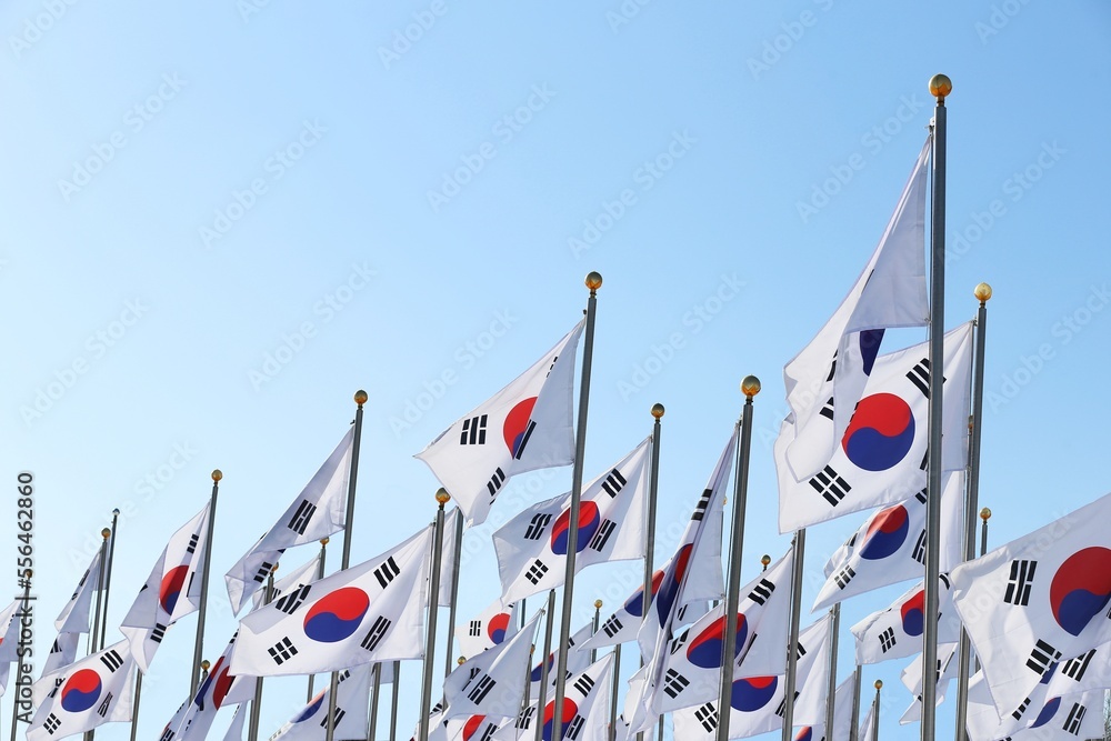 The Korean flag photographed at the Independence Hall of Kore Stock ...