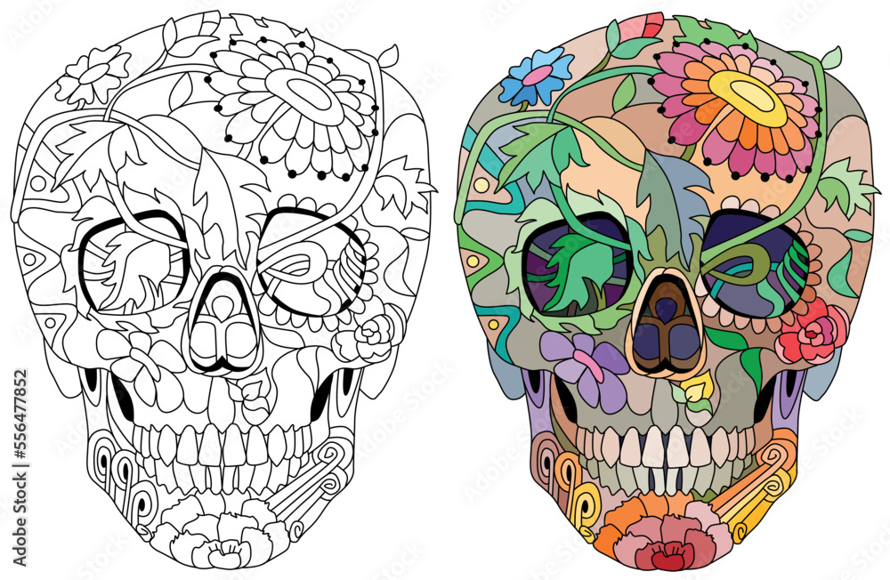 Zentangle stylized scull. Hand drawn decorative vector illustration for ...