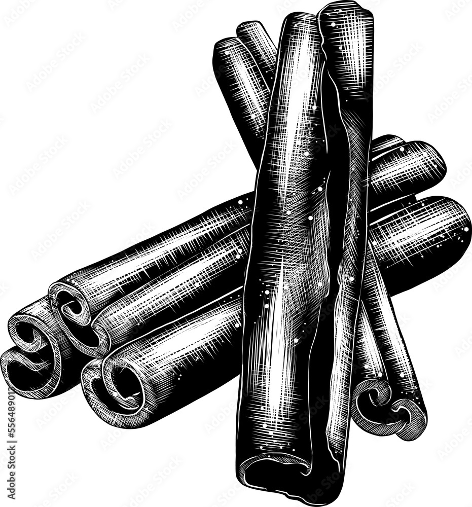 PNG engraved style illustration for posters, decoration and print. Hand ...