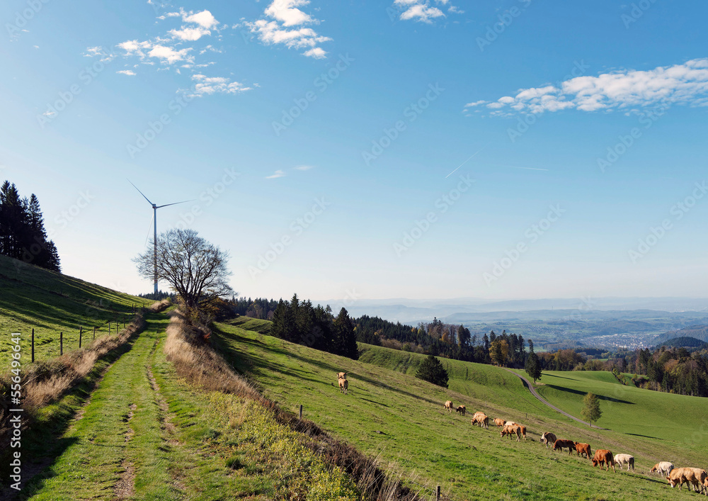 Black Forest landscapes in Germany. Around Gersbach and its wind ...