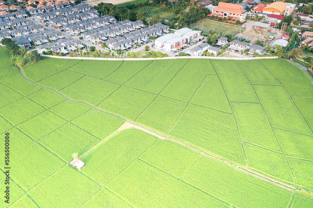 Land, landscape of green field in aerial view. Include agriculture farm ...