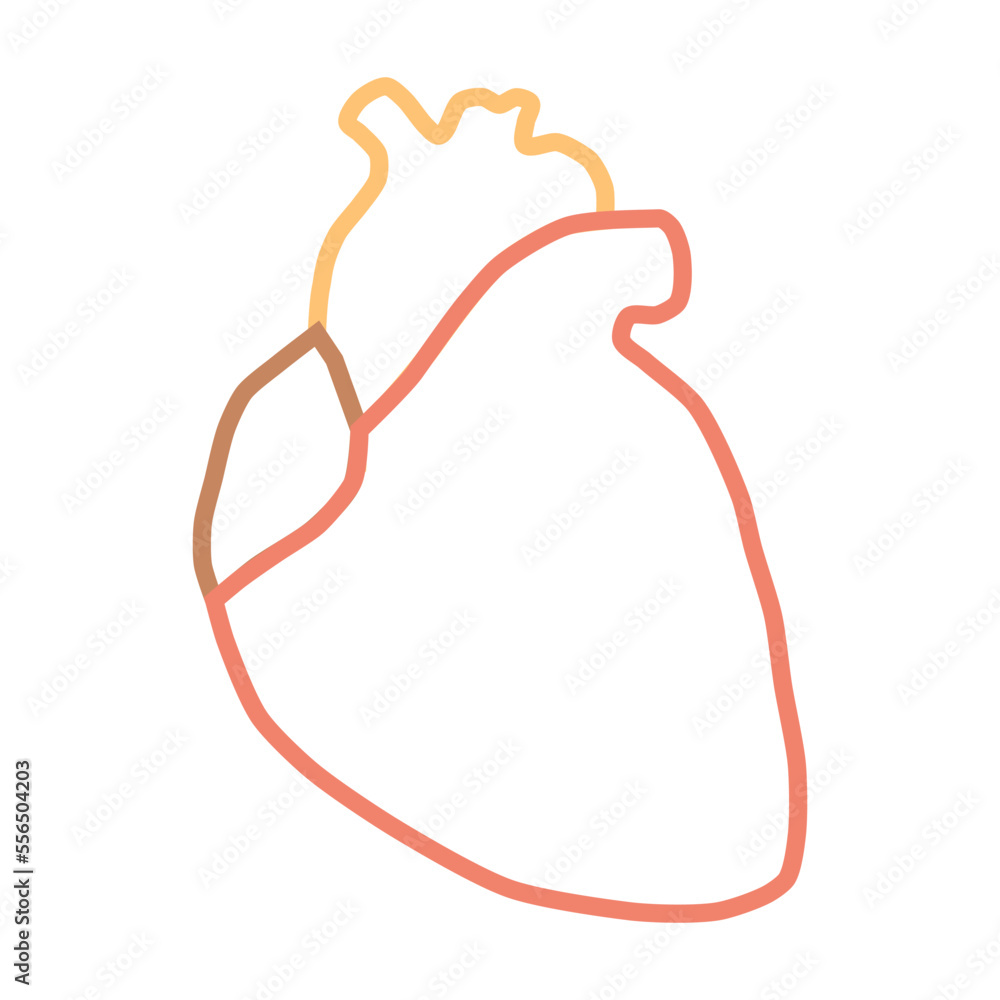 Human heart line art vector icon. Heart vector outline shape. Heart ...