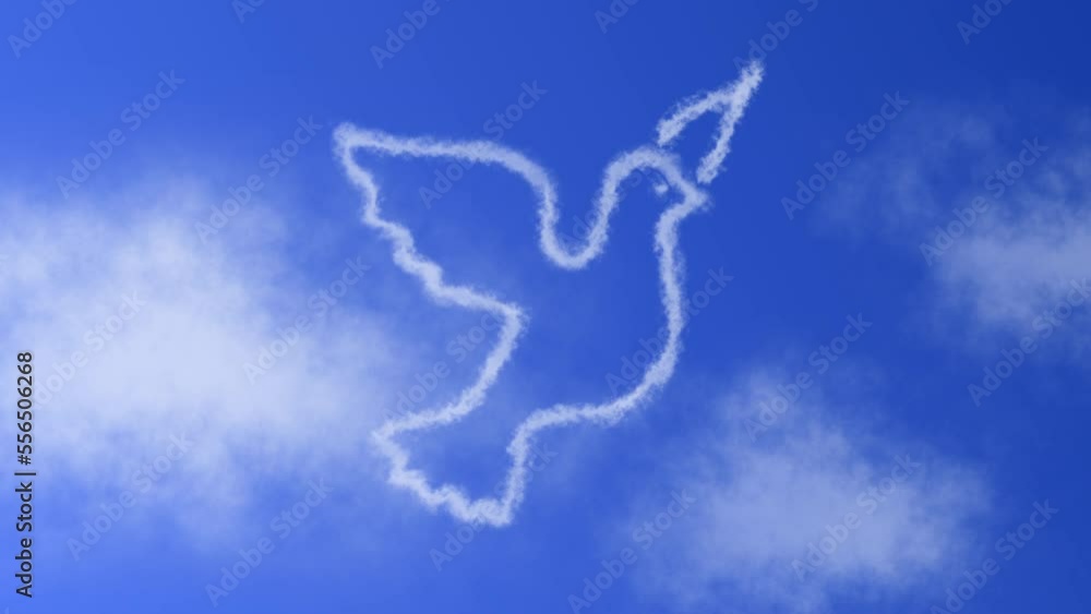 Bird Flying Sign or Icon or Symbol with Cloud Effect Symbol Animation ...