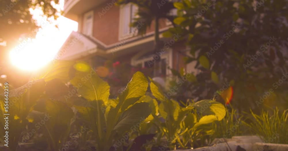 Family home, Property insurance. Family house in the rays of the sunset ...