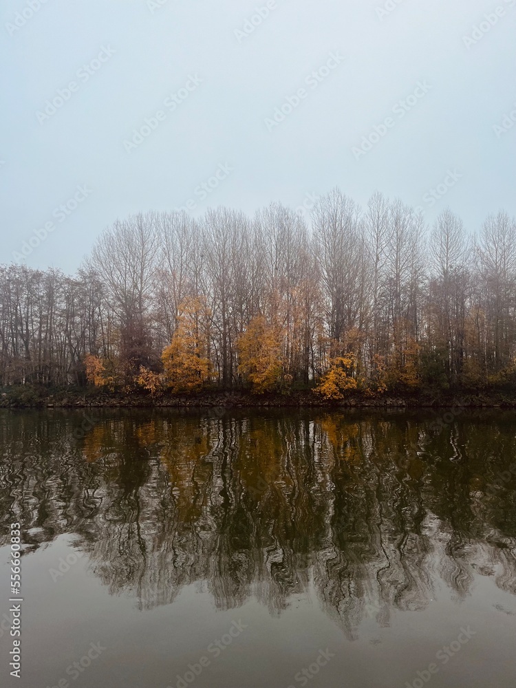 paysage, Meuse, Belgique, brouillard, automne, lampadaire, éclairage ...