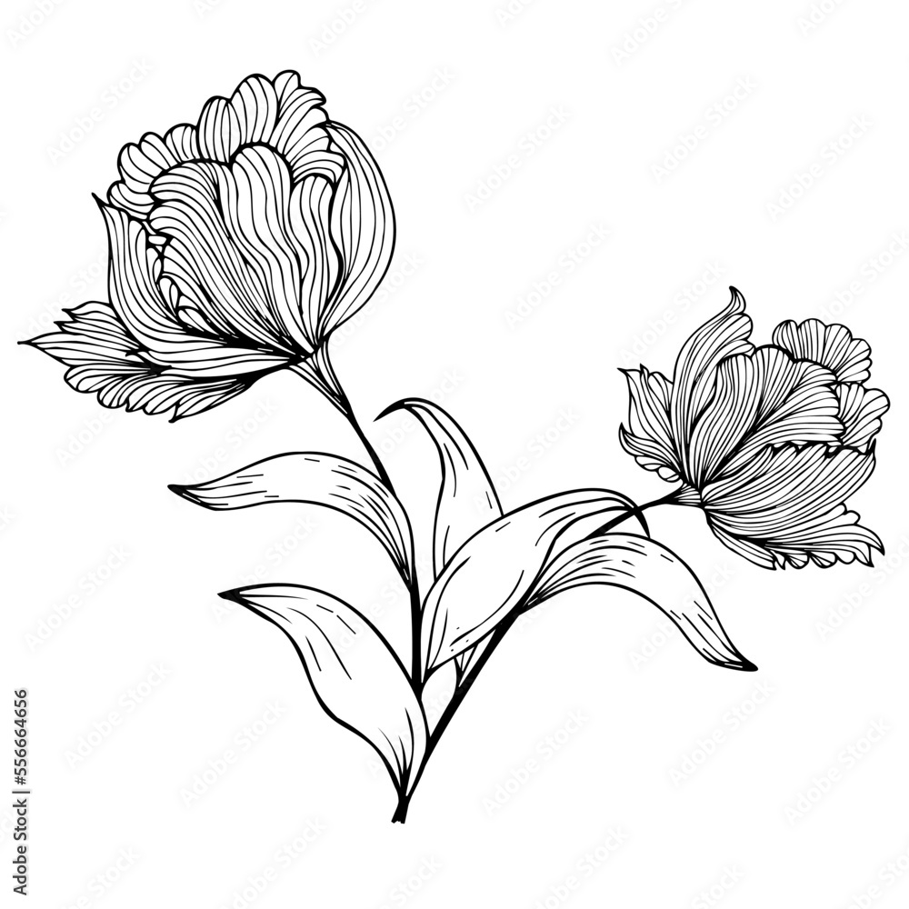 Floral composition, floral background with tender flowers and branches ...