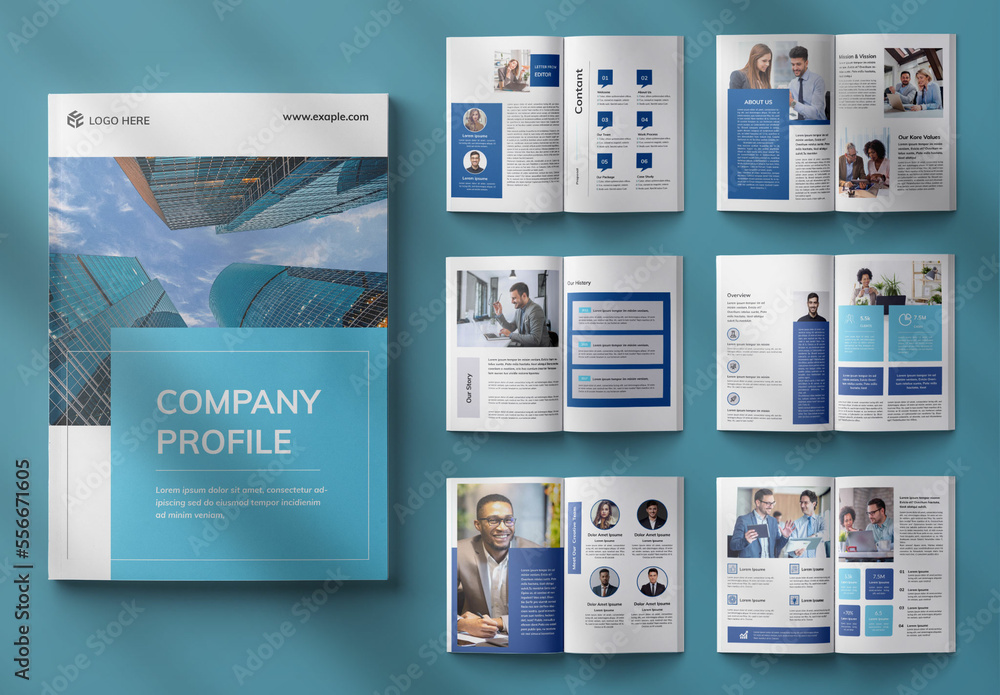 Company profile Layout Stock Template | Adobe Stock