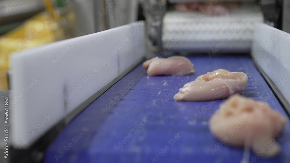 poultry farm conveyor, butchered chicken carcasses, fresh breast and ...